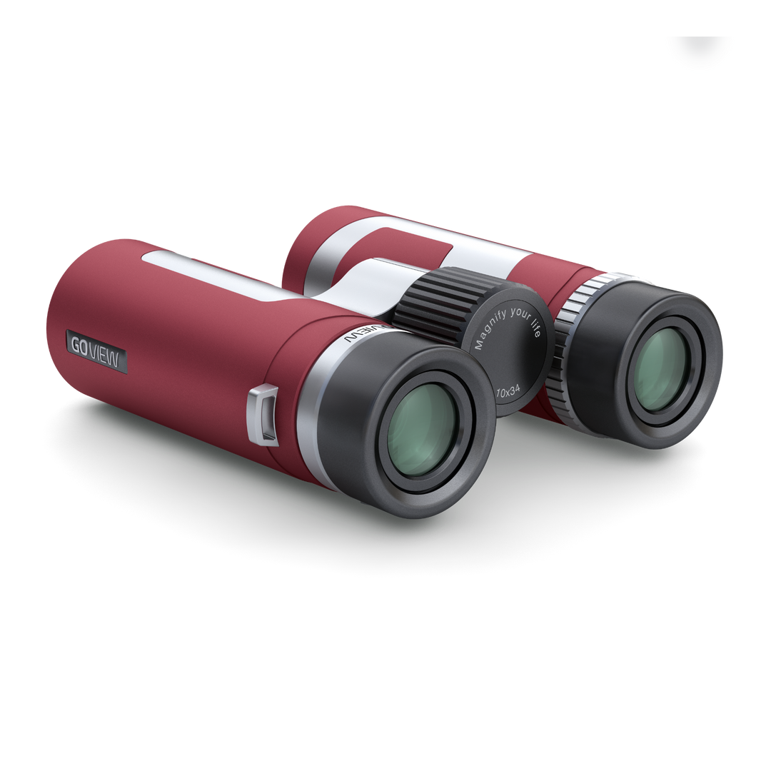 Discover Hidden Details with GOVIEW® Observation Technology – GOVIEW - Magnify your life