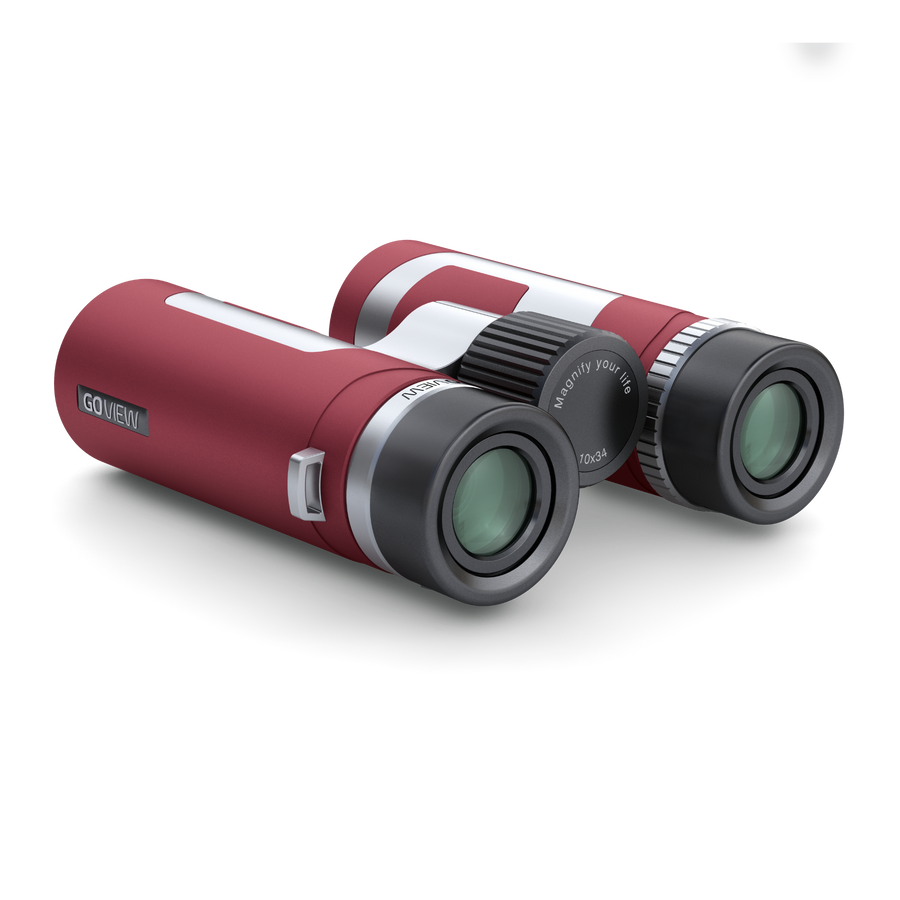 Discover Hidden Details with GOVIEW® Observation Technology – GOVIEW ...